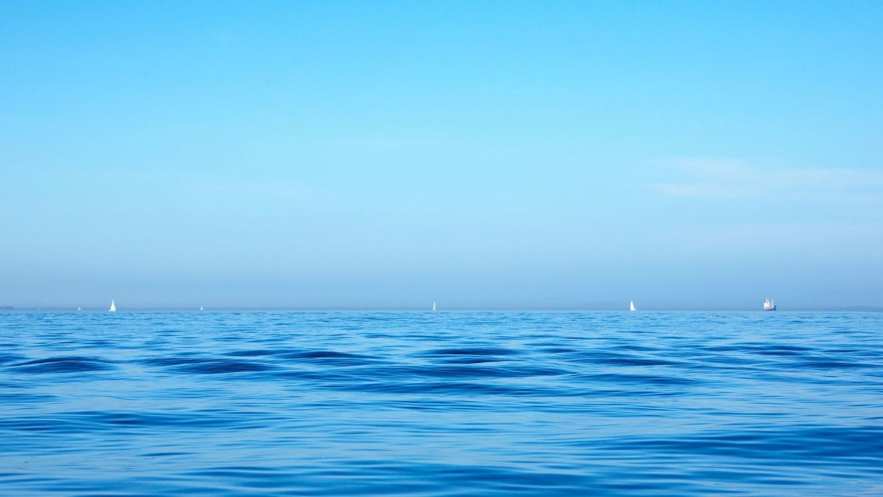 Why Start-Ups fail – Learn from others mistakes; you will not be in ...